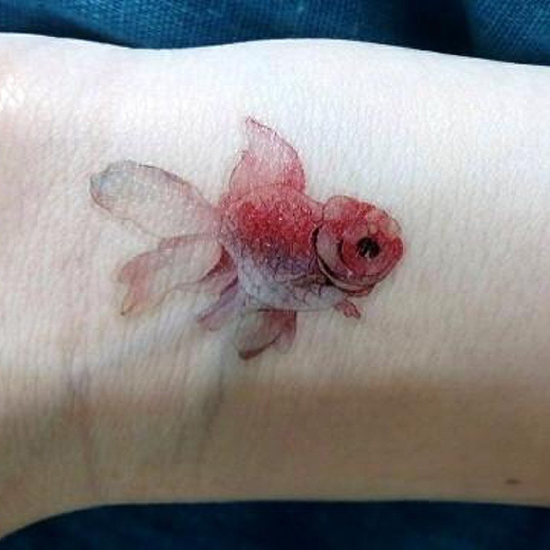 Blurb Watercolor Gold Fish Temporary Tattoo – MyBodiArt